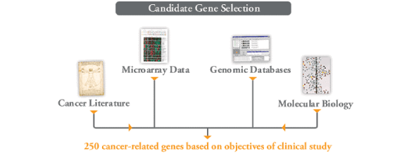 Xét nghiệm ung thư vú Oncotype DX ® là gì? - CHEK Genomics